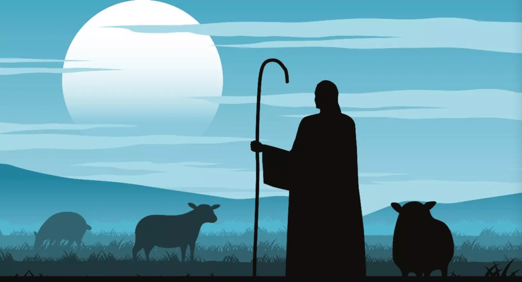 The Go(o)d Shepherd – Pens and Picks